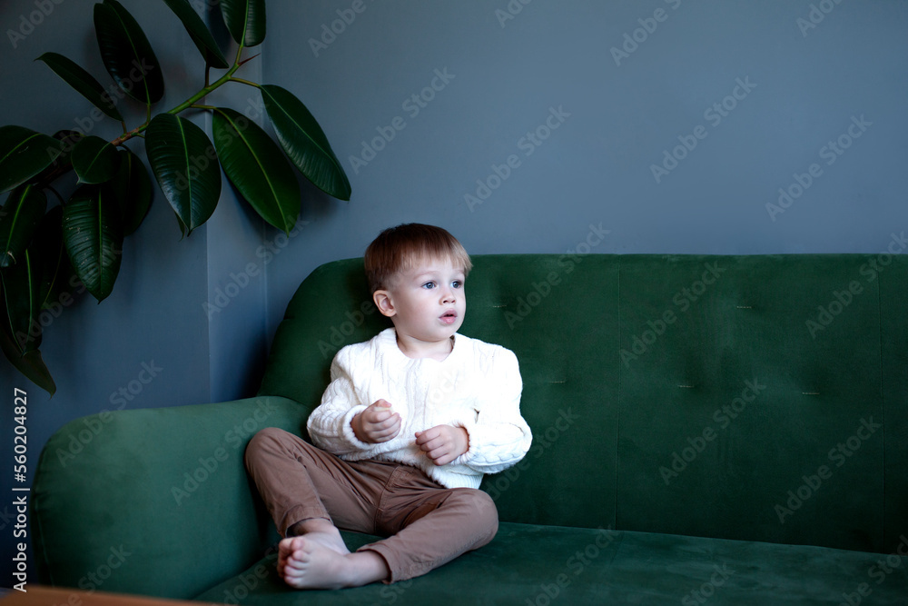The two years old boy sit in the gteen sofa in the room . Cute kid sit ...