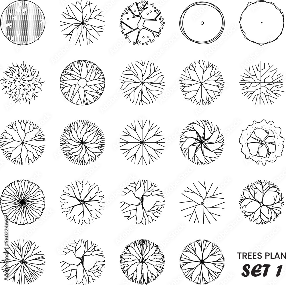 Architectural Drawing Trees Plan Set 1 Stock Vector | Adobe Stock Architectural Drawing Trees Plan Set 1 Stock Vector | Adobe Stock