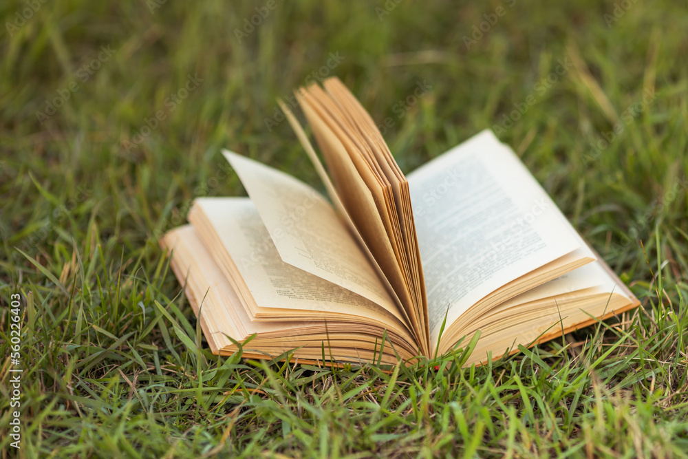 Open book on green grass in a field background concept for reading ...