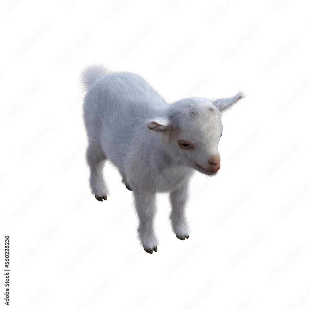 Goat baby character on transparent background. 3d rendering ...
