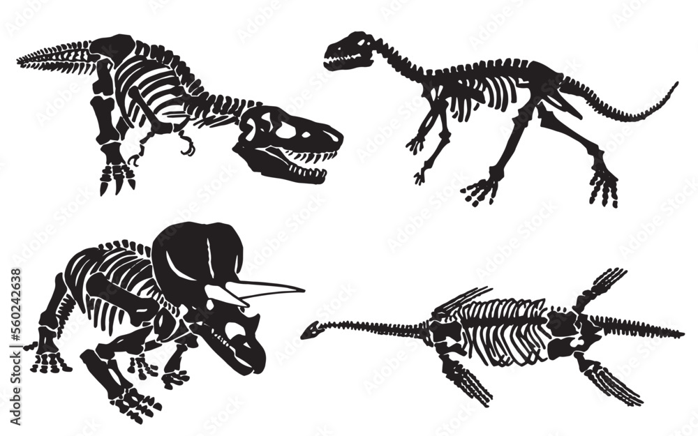 Graphical illustration, set of dinosaur skeletons isolated on white ...