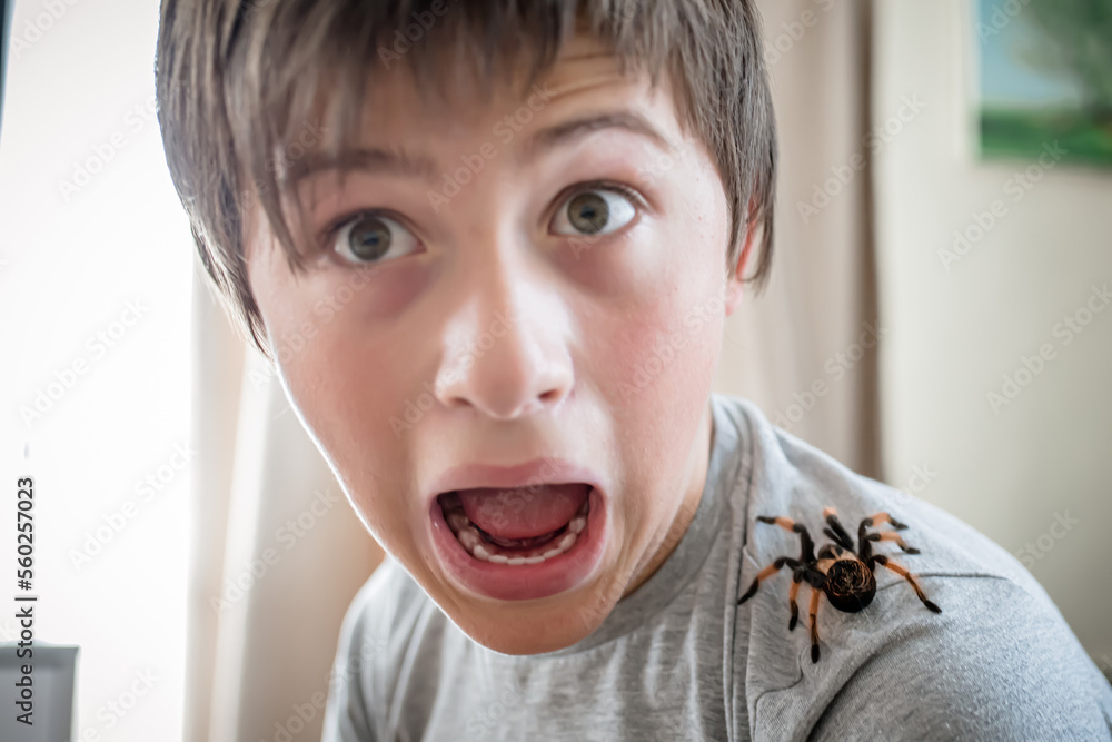 The boy screams in horror when he sees a huge spider crawling on the ...