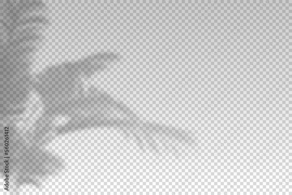 Tree leaf shadow. Plant leaves overlay shade. Soft reflect light from ...