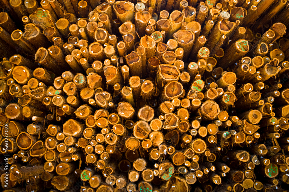 Log stockpiles of California Redwood are stored for future lumber ...