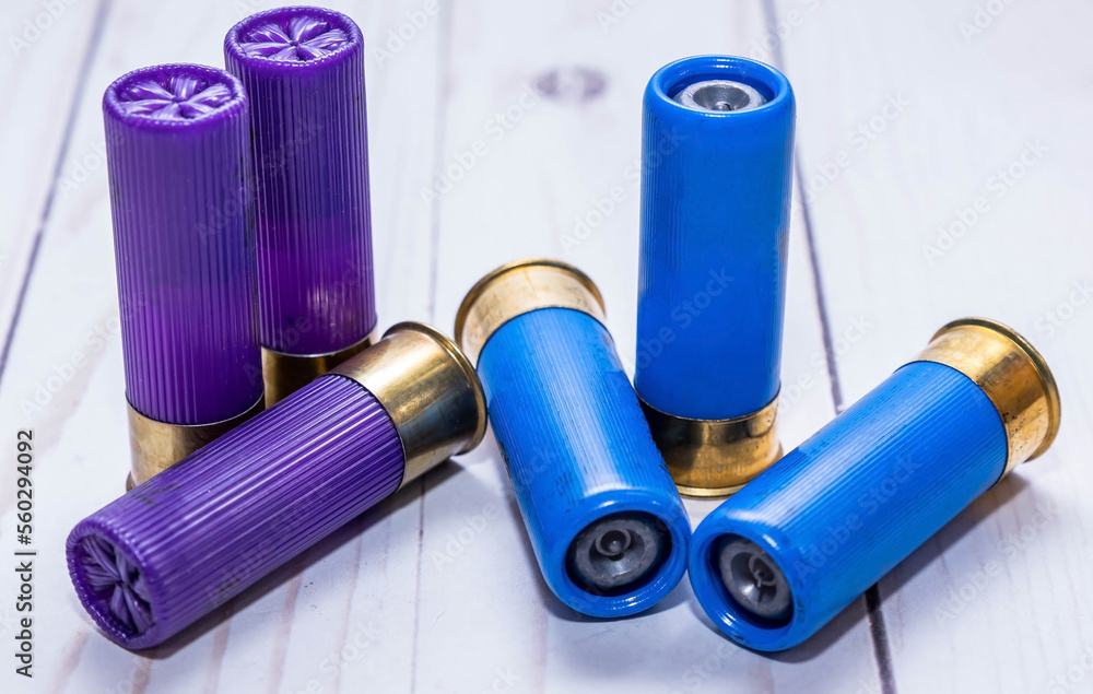 Six 12 gauge shotgun shells, three purple bird shot and three blue ...