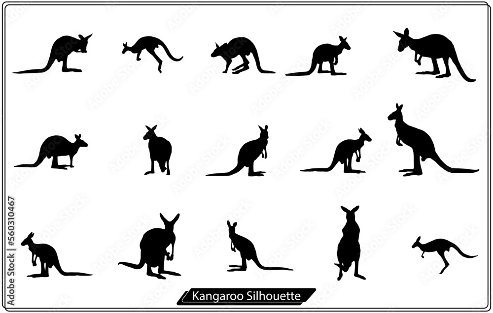 Kangaroo vector silhouette Isolated Stock Vector | Adobe Stock