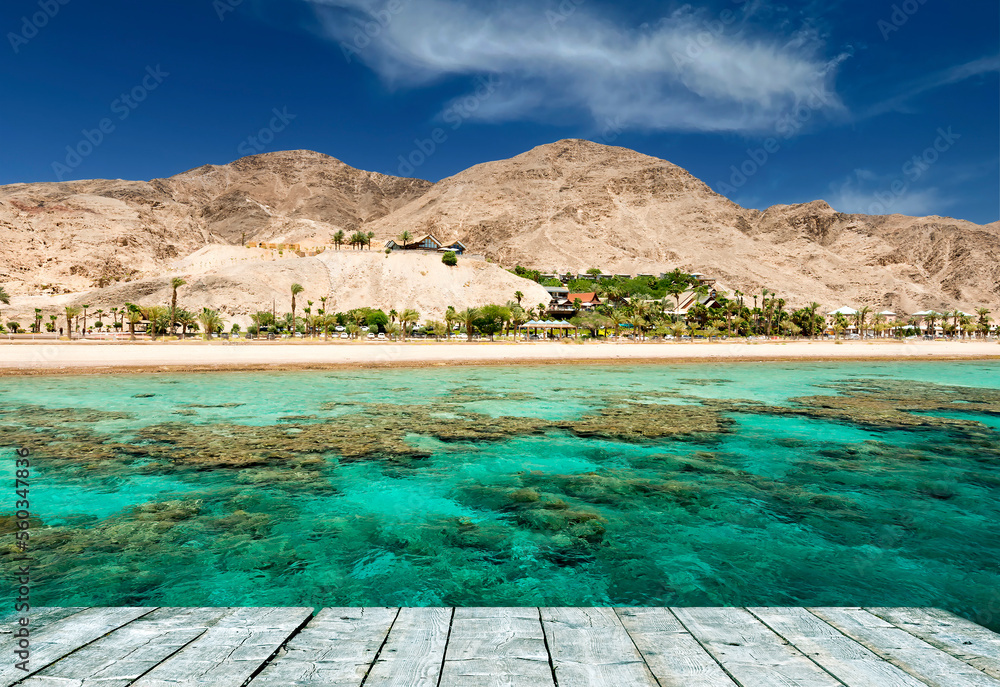 Coral reefs of the Red Sea and foreground of wooden footpath as a copy ...