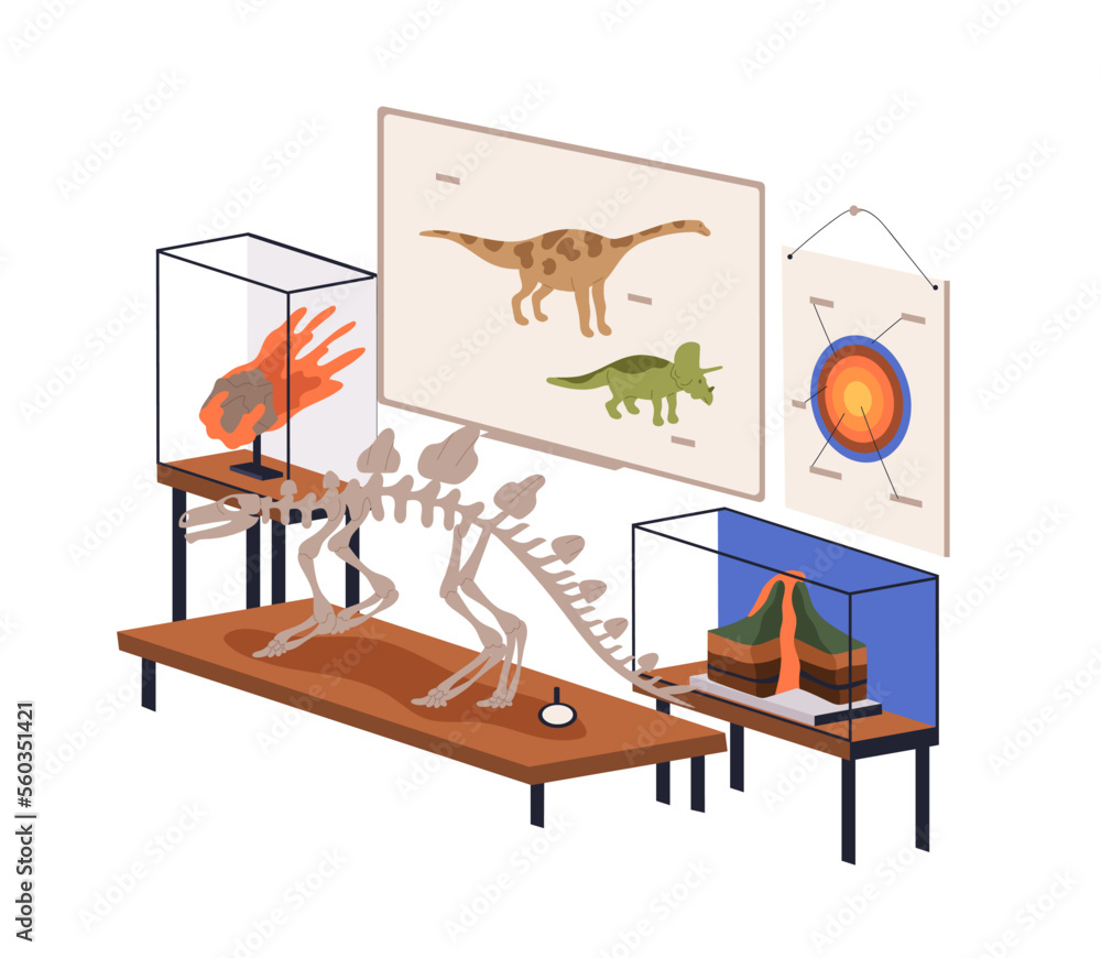 Geology, Paleontology classroom. Natural science subject for fossils ...