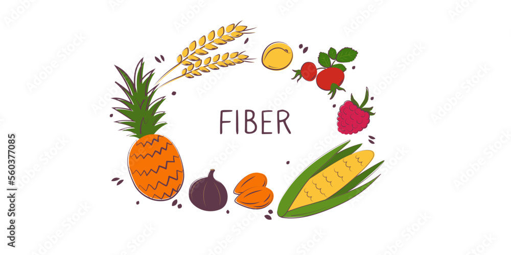 Fiber-containing food. Groups of healthy products containing vitamins ...