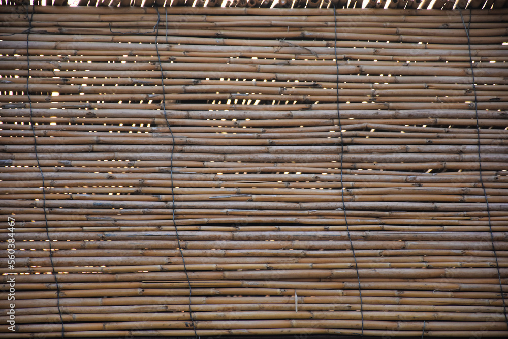 Wall made of steel wire and bamboo branches. Bamboo background detail ...