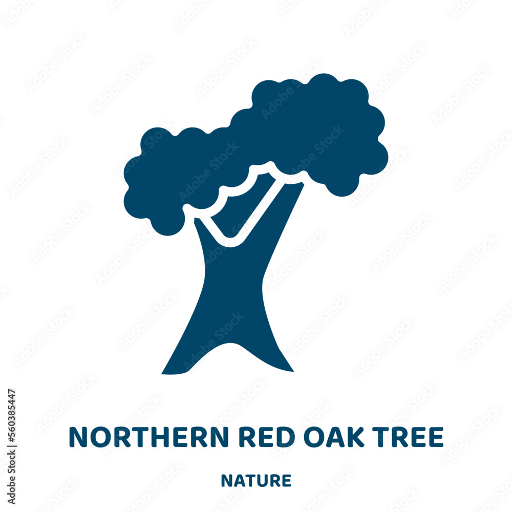 northern red oak tree vector icon from nature collection. germanic ...