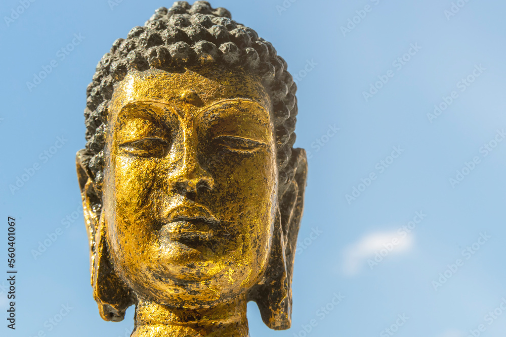 buddha statue in calm rest pose.Shakyamuni Buddha is a spiritual ...