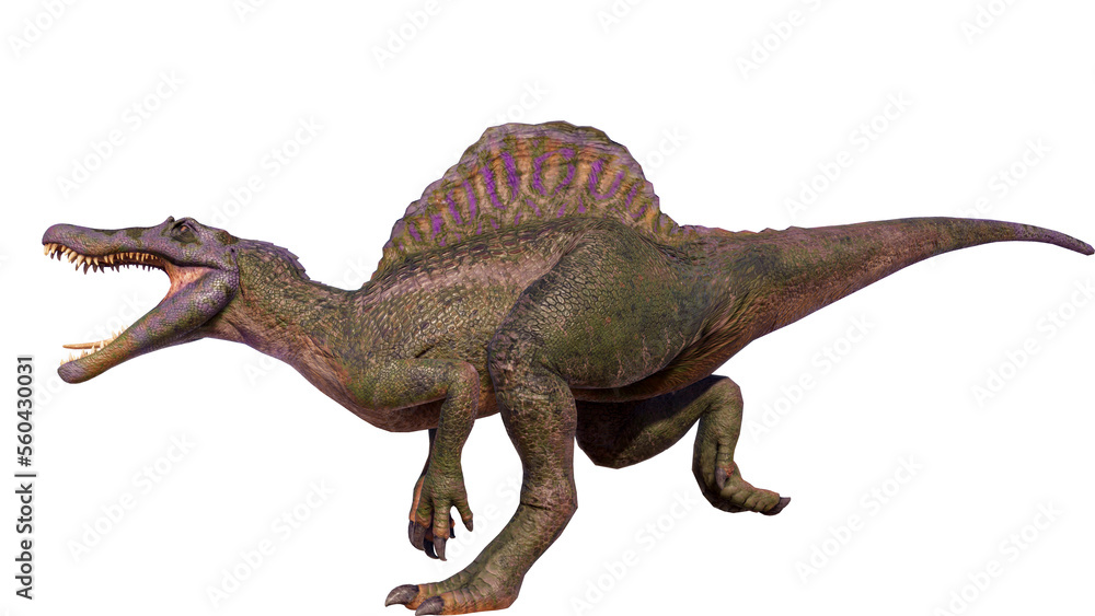 Spinosaurus roaring dinosaur isolated on blank background PNG Stock ...