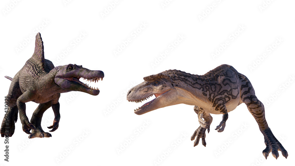 Spinosaurus roaring dinosaur isolated on blank background PNG Stock ...
