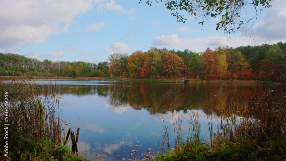 Natural landscape of the lake, high definition, the movement of waves ...