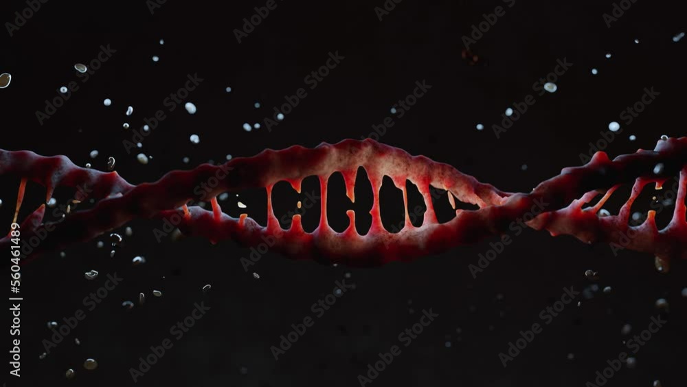 The DNA spiral is spinning on a dark background, a scientific concept ...