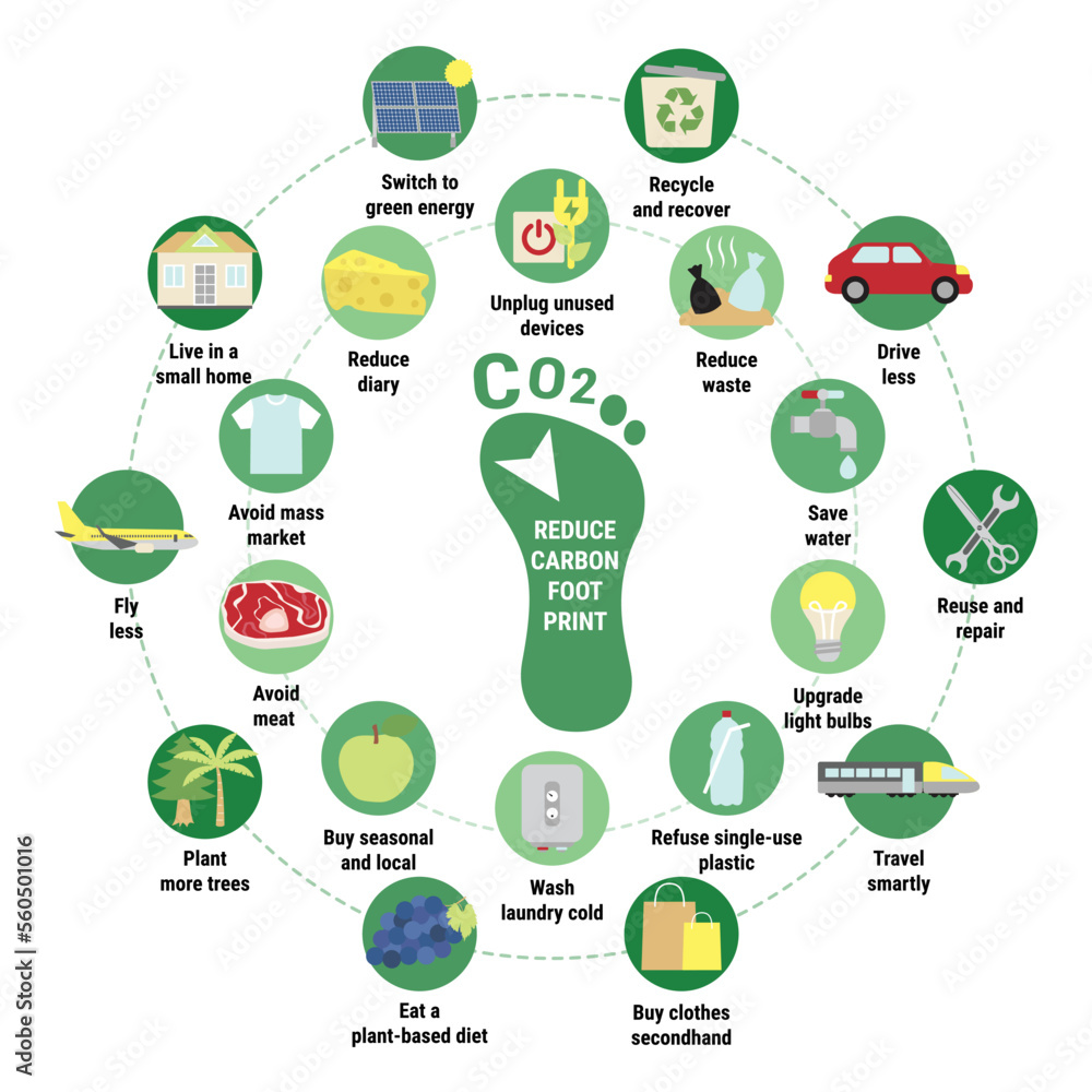 Carbon Footprint Circle Infographic Tips For Reducing Your Personal