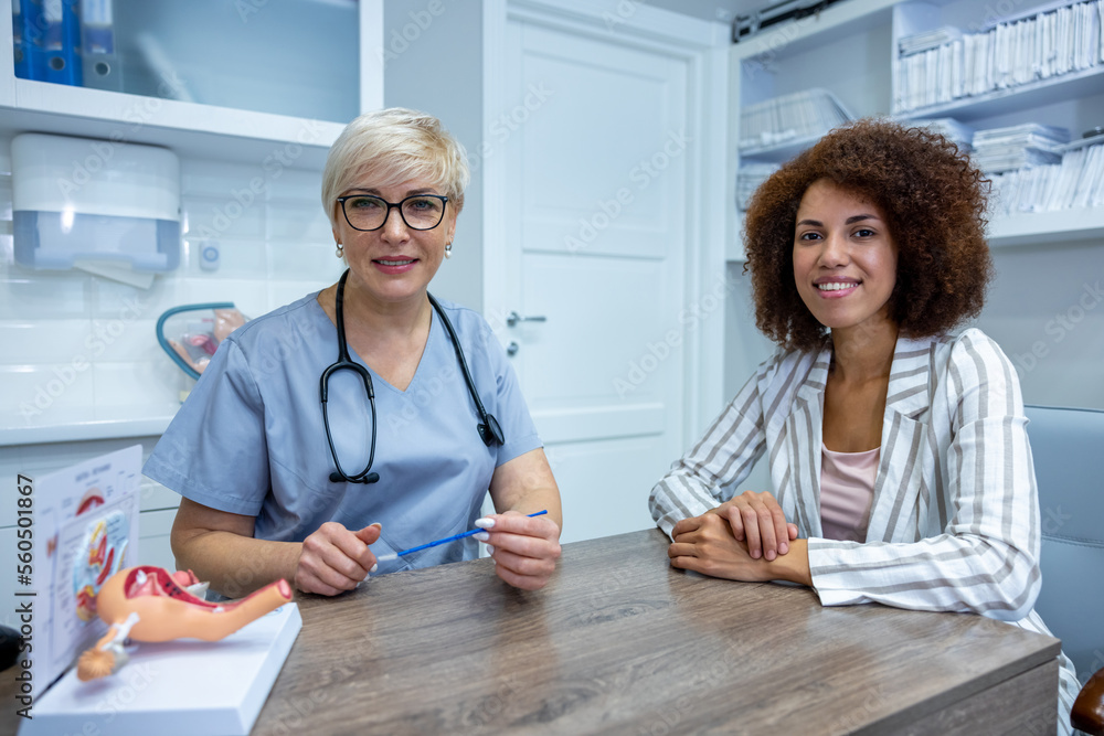 Expericenced gynecologist showing the anatomical model to junior ...