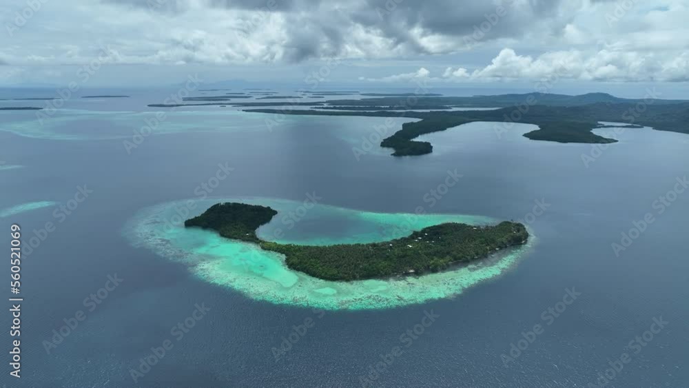Extensive coral reefs fringe rainforest-covered islands in the Solomon ...