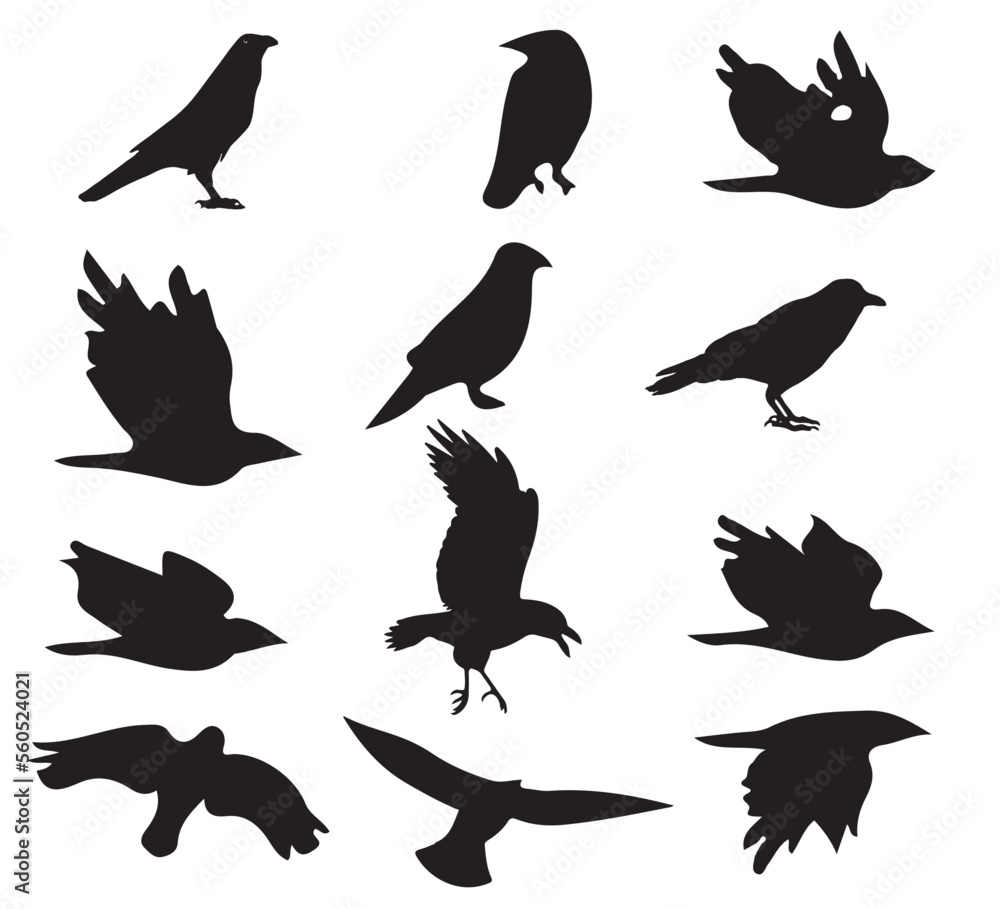 collection of birds Stock Vector | Adobe Stock