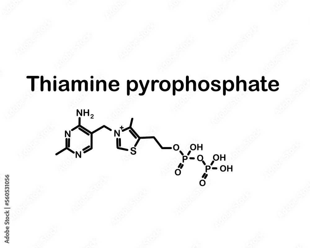 Chemical formula of thiamine pyrophosphate. Vector illustration Stock ...