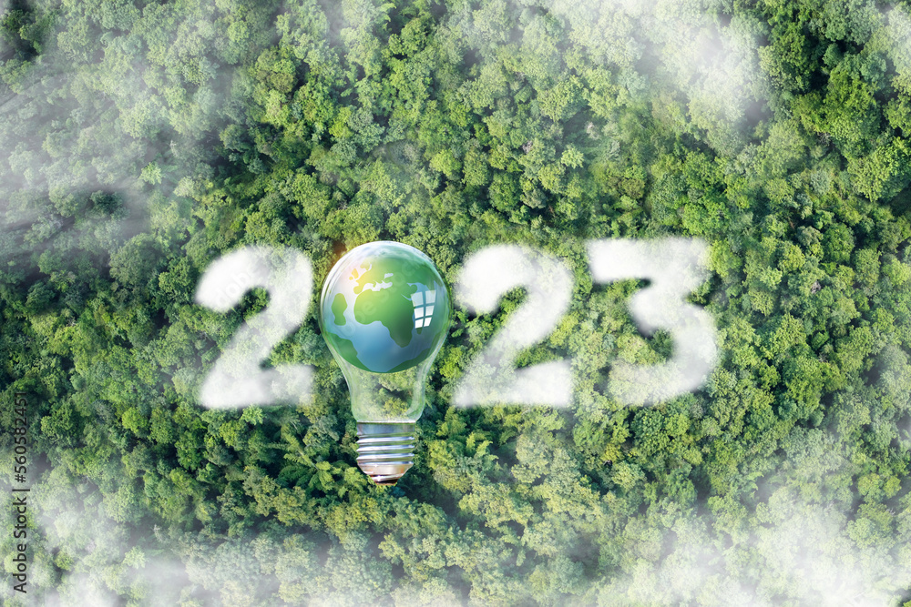 Forest with number 2023 Clouds, Environmental technology concept ...