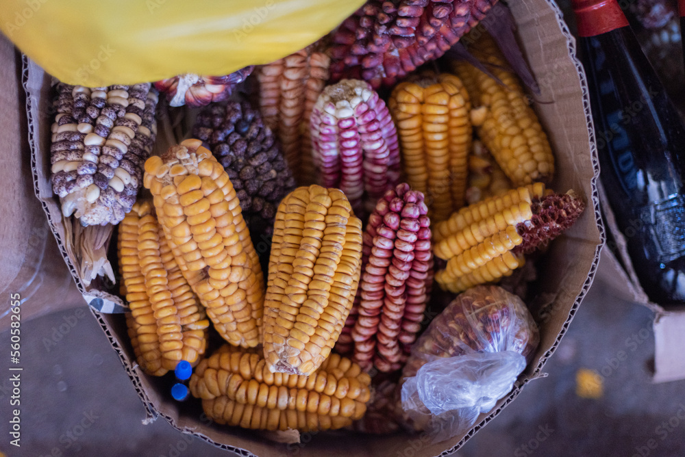 Maíz de grano grande y colores de Perú, en puesto en mercado San Pedro ...