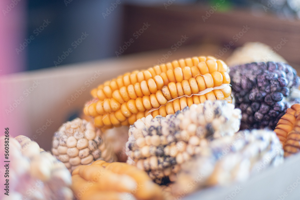 Maíz de grano grande y colores de Perú, en puesto en mercado San Pedro ...