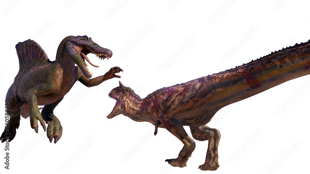 Spinosaurus vs Carnotaurus roaring dinosaur isolated on blank ...
