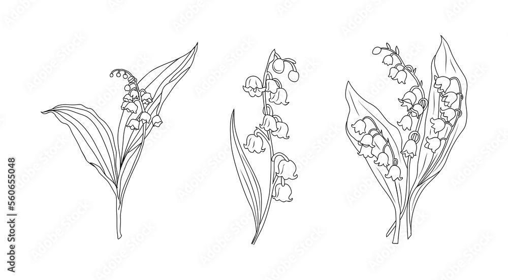 Birth month flower line art illustrations set on transparent background ...