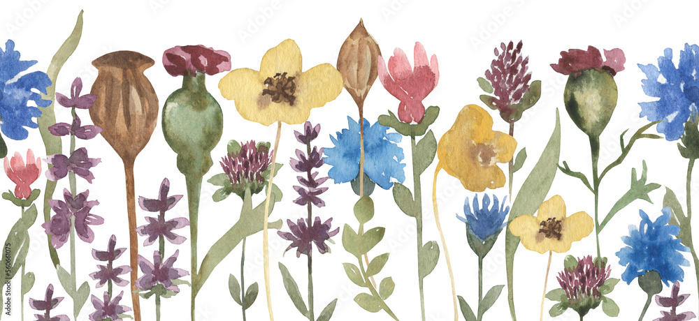 Watercolor wildflowers seamless border, meadow florals illustration ...