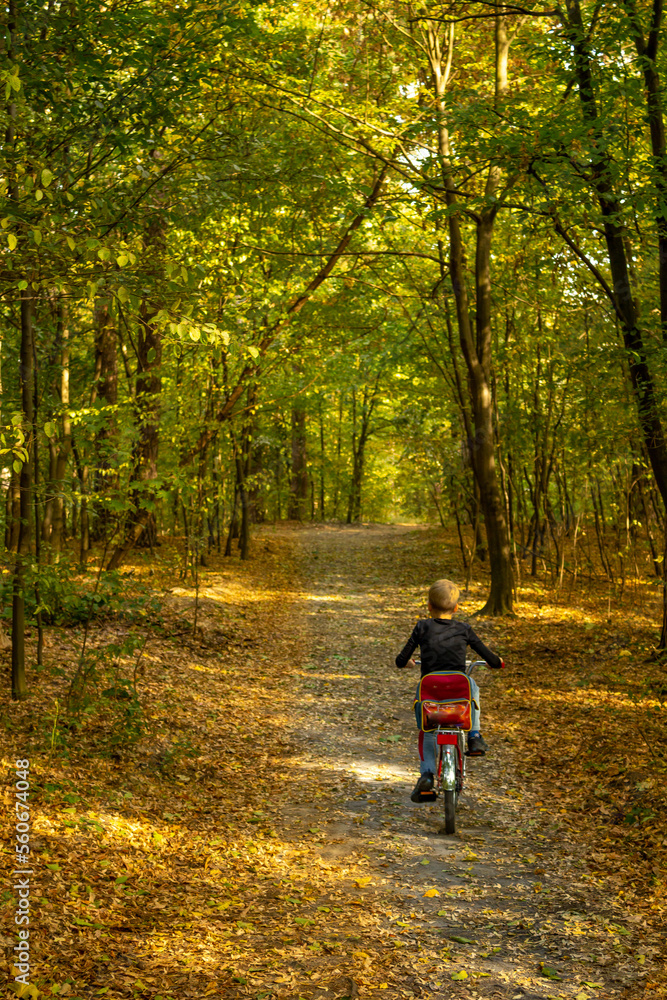 Autumn in the park. Ride a bike in the forest. Children sports, outdoor ...