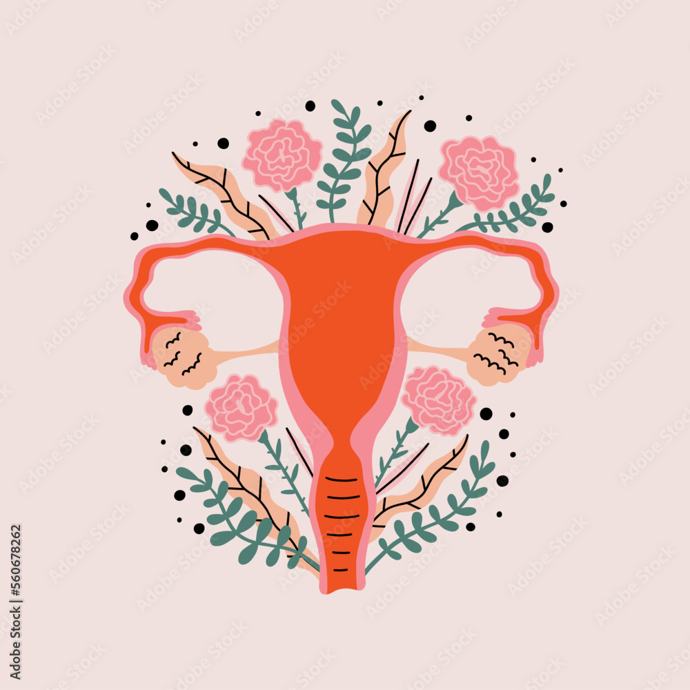 Female reproductive system is stylized flowers, plants. Women menstrual ...