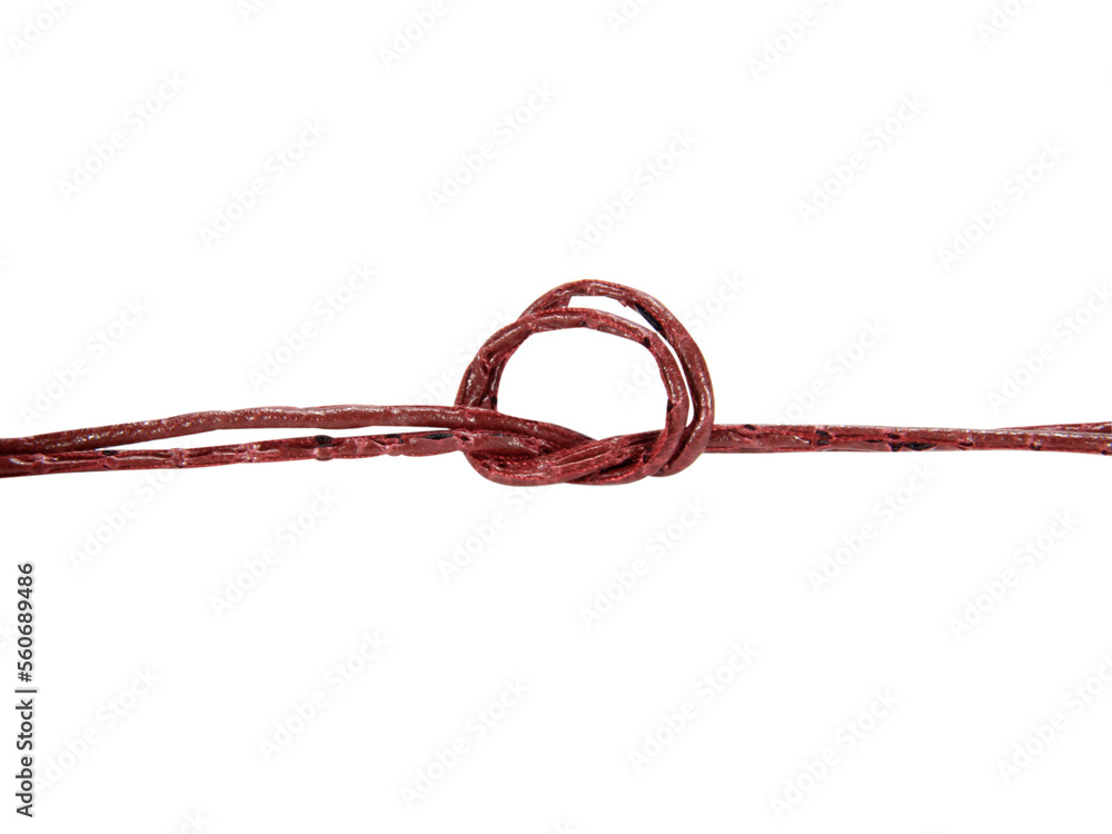 Leather rope tied together in a circle isolated on white background ...