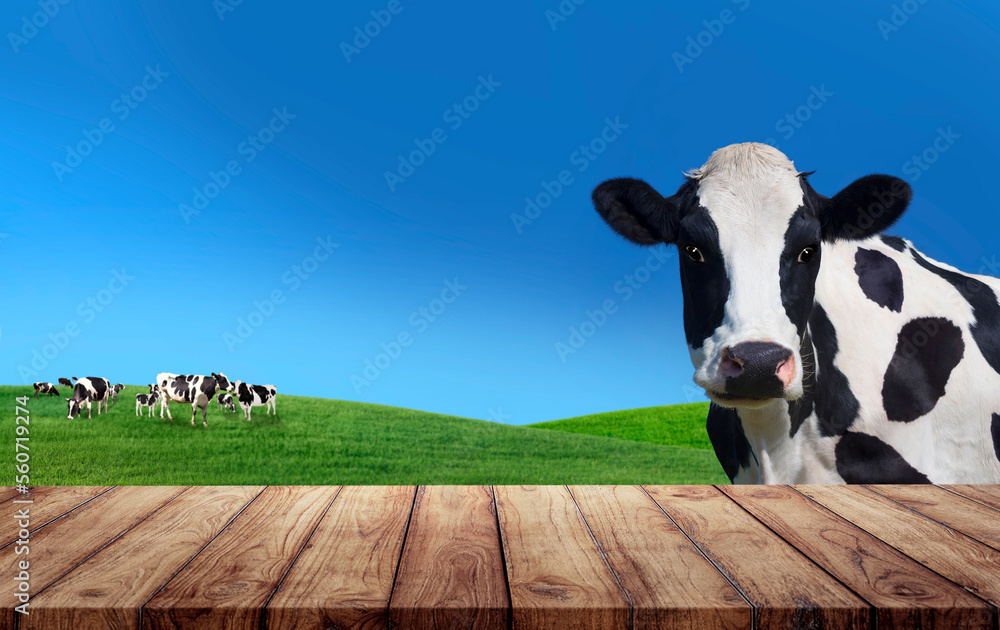 cow and wood top table on farm background Stock Photo | Adobe Stock