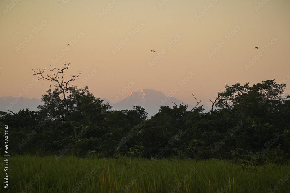 Big wild indian nature landscape. Kaziranga national park in Assam ...