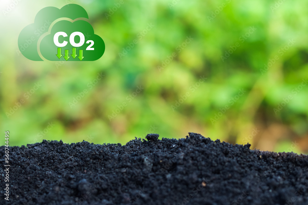 Reduction of carbon emissions, carbon neutral concept. Net zero ...