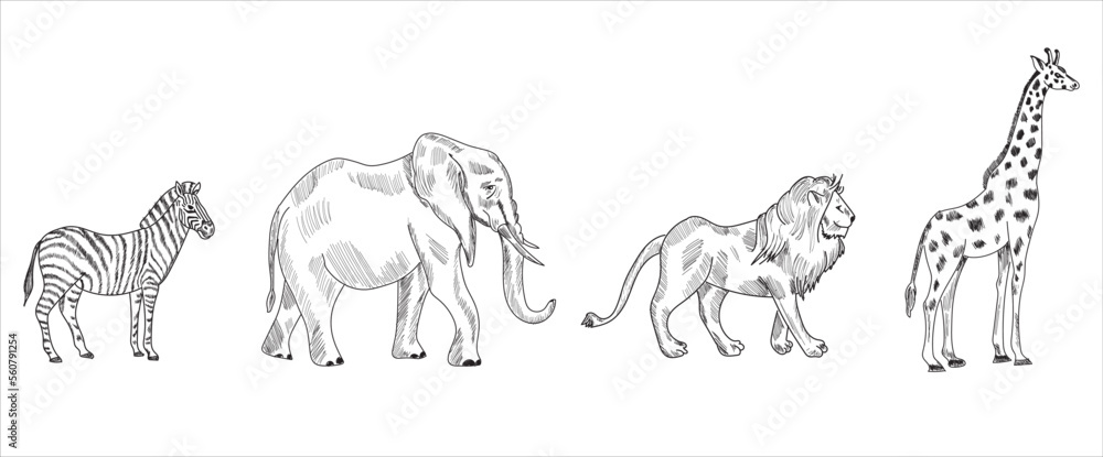 Animals a sketch drawing vector illustration Stock Vector | Adobe Stock
