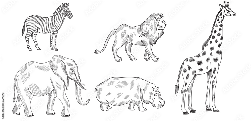 Animals a sketch drawing vector illustration Stock Vector | Adobe Stock