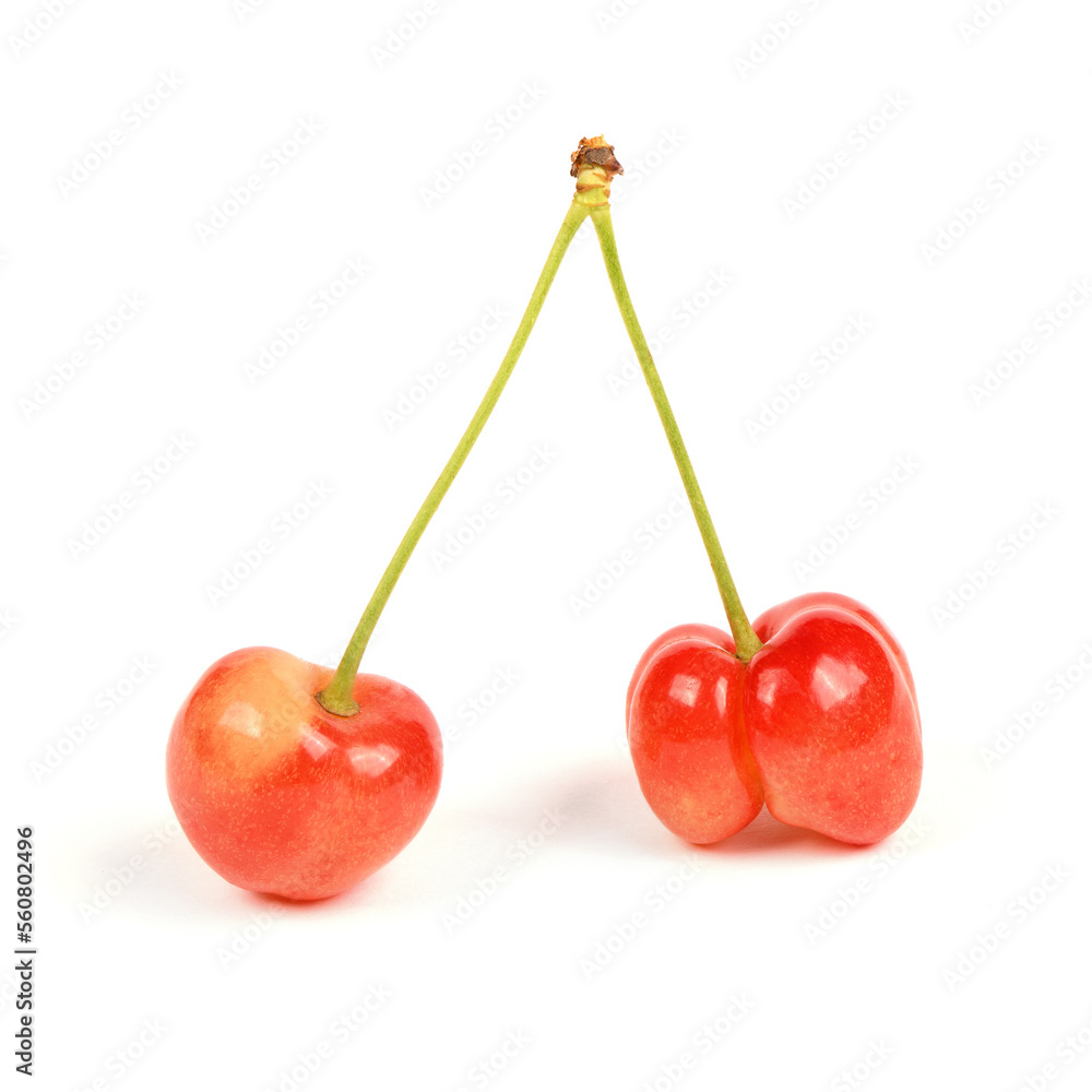 Light red sweet cherry with green leaves., side view isolated on white ...
