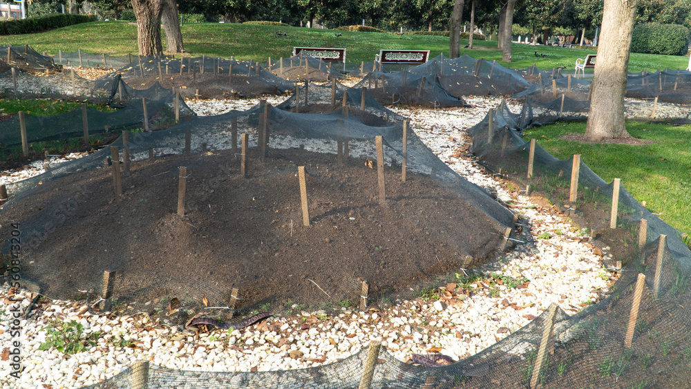 Landscaping public parks in Istanbul Turkey. Planting flowers for ...