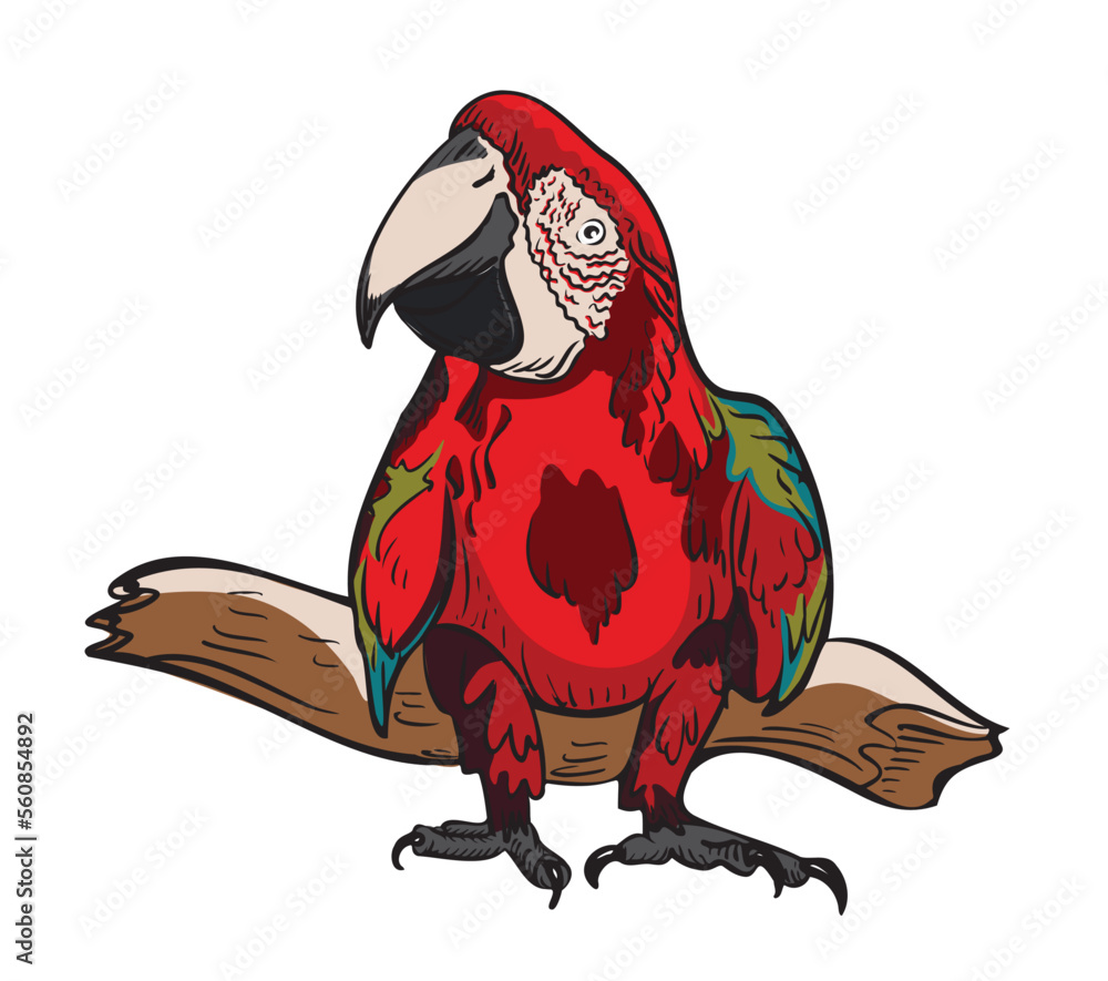 Front view parrot portrait.Sketch in color hand drawn.Vector ...