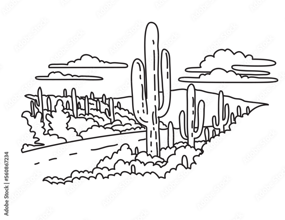 Vetor de Mono line illustration of Cactus Forest scenic drive in ...