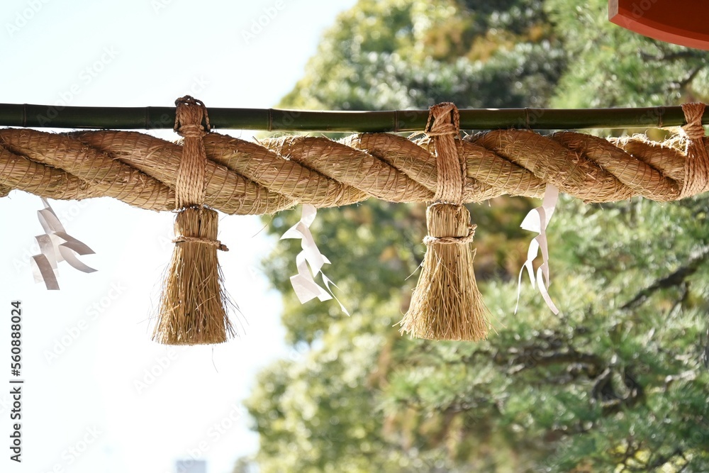 'Shimenawa' ( Shinto straw festoon ) in the japanese shrine. Shimenawa ...