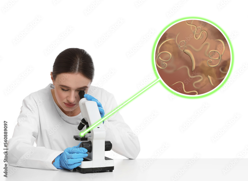 Laboratory worker using microscope to examine helminths on white ...
