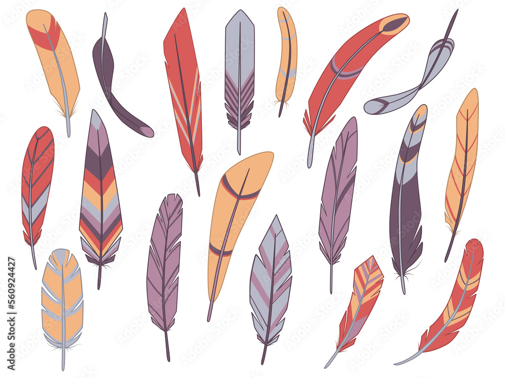 Collection of bright abstract feathers. Cartoon Illustration on ...