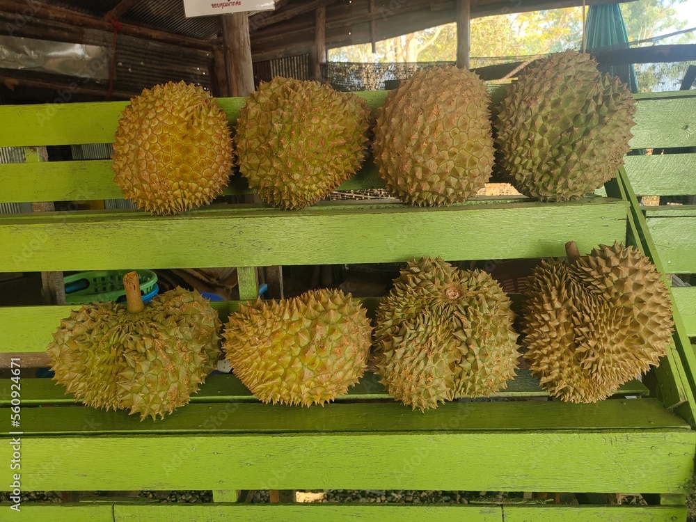 durian at the market, Durian, many durians on the shelf have strong ...