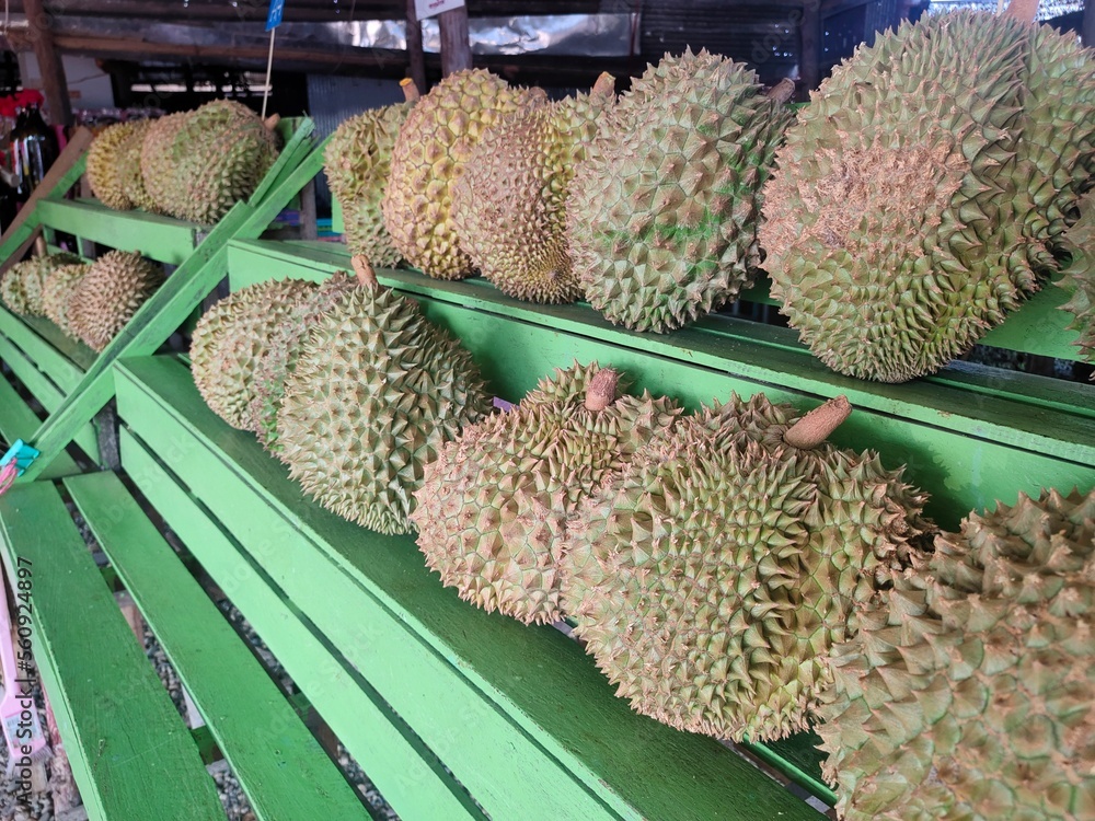 durian at the market, Durian, many durians on the shelf have strong ...