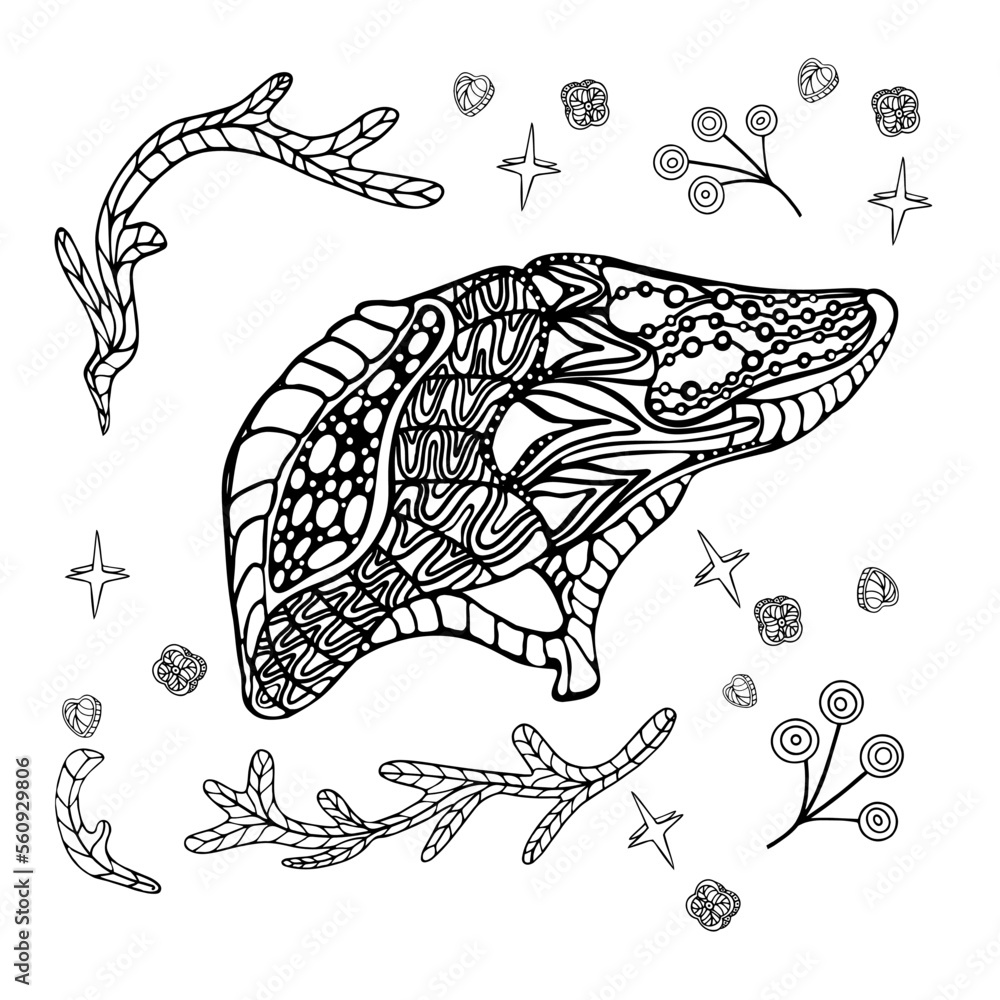 Vector illustration of a human liver. Colouring book for adults anti ...