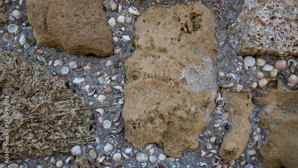 Ancient mortar with shells holding weathered bricks. Caesarea Maritima ...